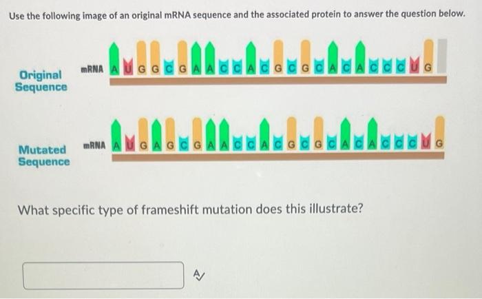 Solved Select all of the statements that are FALSE. | Chegg.com