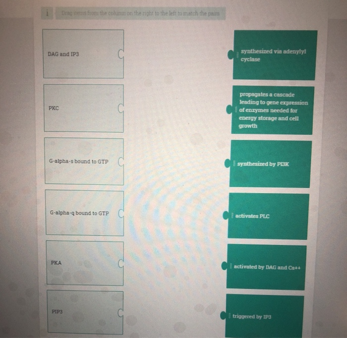 Solved Dragitems from the court on the right to the left to | Chegg.com