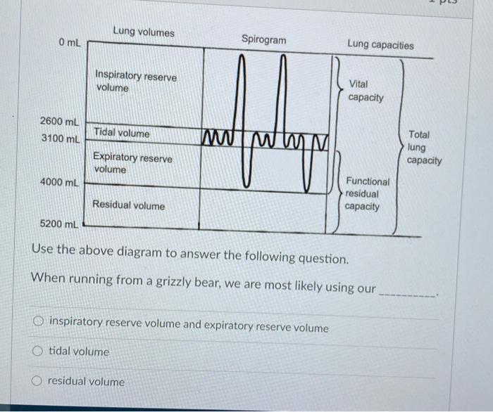 Solved Lung volumes O mL Spirogram Lung capacities | Chegg.com
