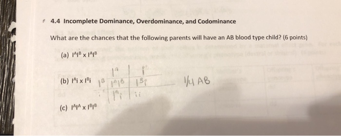 Solved 4.4 Incomplete Dominance, Overdominance, and | Chegg.com