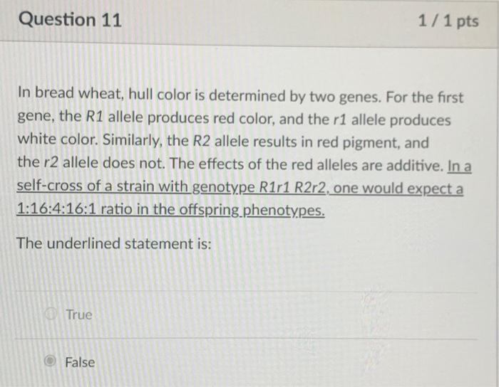 Solved In bread wheat, hull color is determined by two | Chegg.com