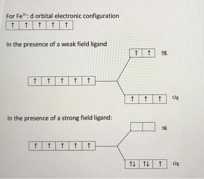 Solved b. Draw diagrams showing the four possible d orbital | Chegg.com