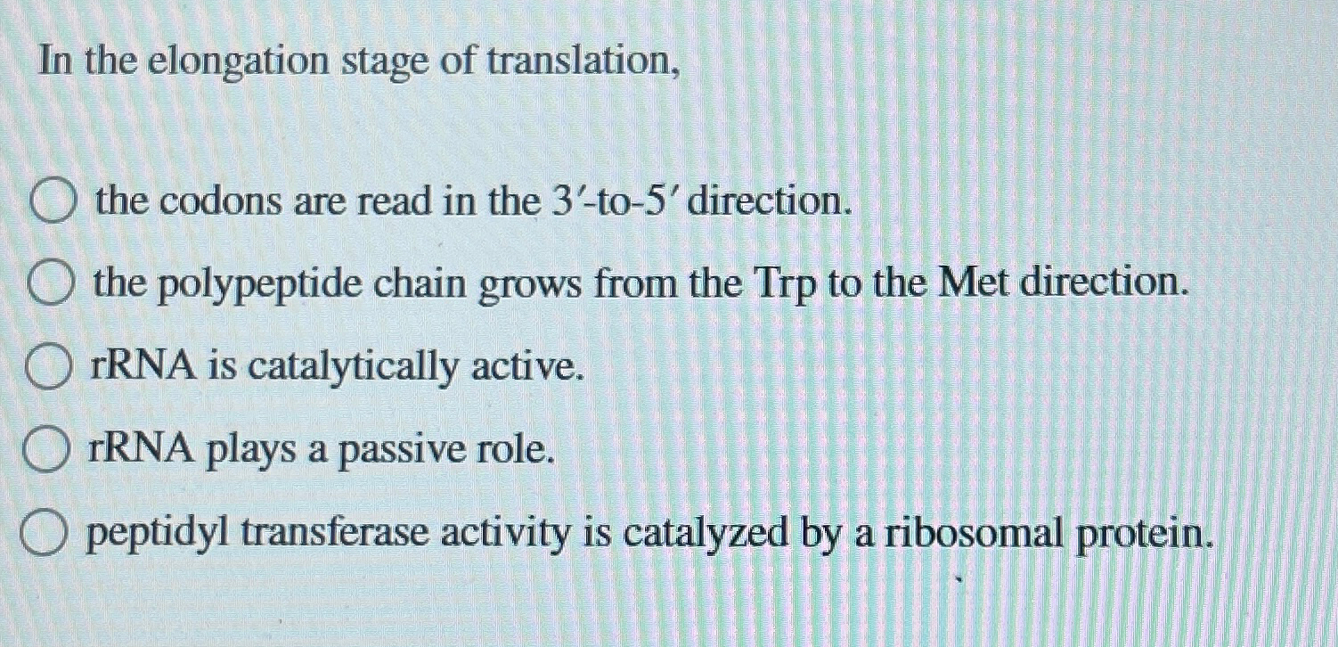 Solved In the elongation stage of translation,the codons are | Chegg.com