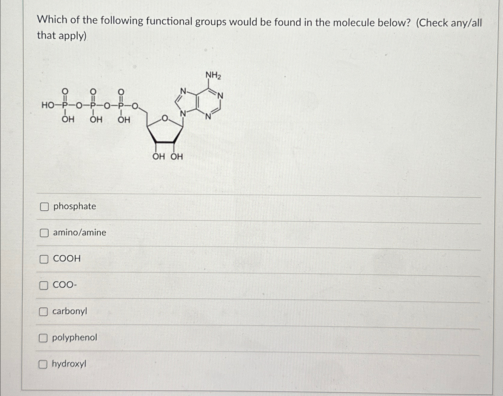 Solved Which of the following functional groups would be | Chegg.com