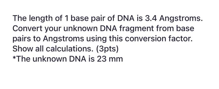 Solved The length of 1 base pair of DNA is 3.4 Angstroms. | Chegg.com