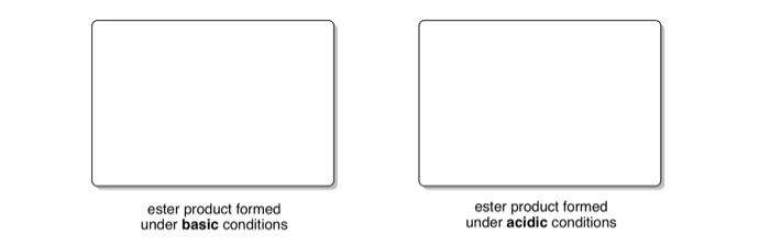Solved ester product formed under basic conditions ester | Chegg.com