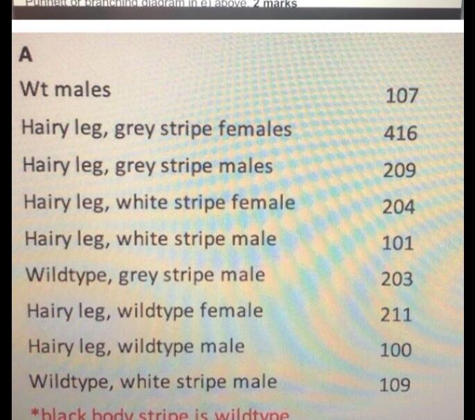 Solved Data set A summarizes F2 numbers from an F1 cross | Chegg.com