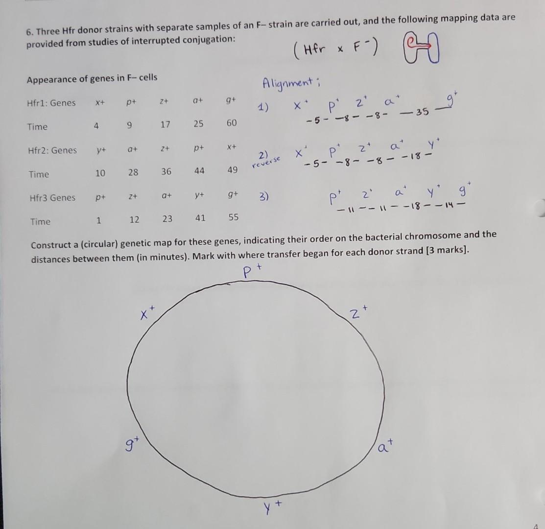 Solved Construct a circular genetic map for these genes, | Chegg.com