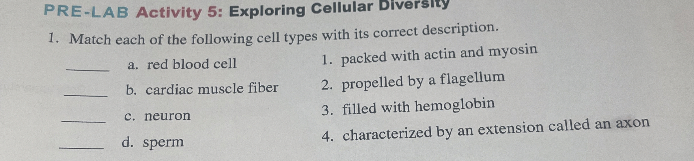 Solved PRE-LAB Activity 5: Exploring Cellular DiversityMatch | Chegg.com