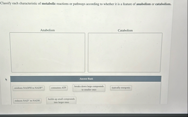 Solved Classify each characteristic of metabolic reactions | Chegg.com