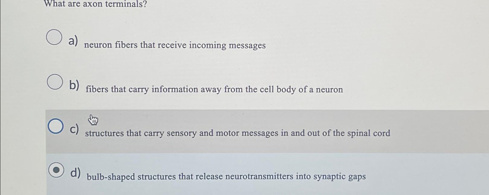 Solved What are axon terminals?a) ﻿neuron fibers that | Chegg.com