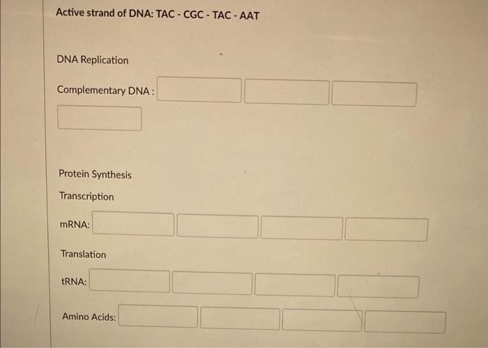 Solved Active strand of DNA: TAC - CGC - TAC - AAT DNA | Chegg.com