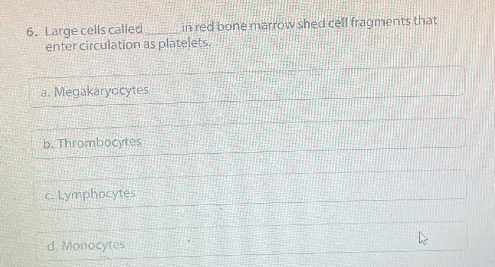 Solved Large cells called in red bone marrow shed cell | Chegg.com