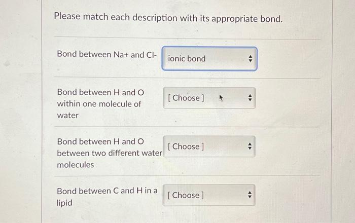 Solved Please match each description with its appropriate | Chegg.com