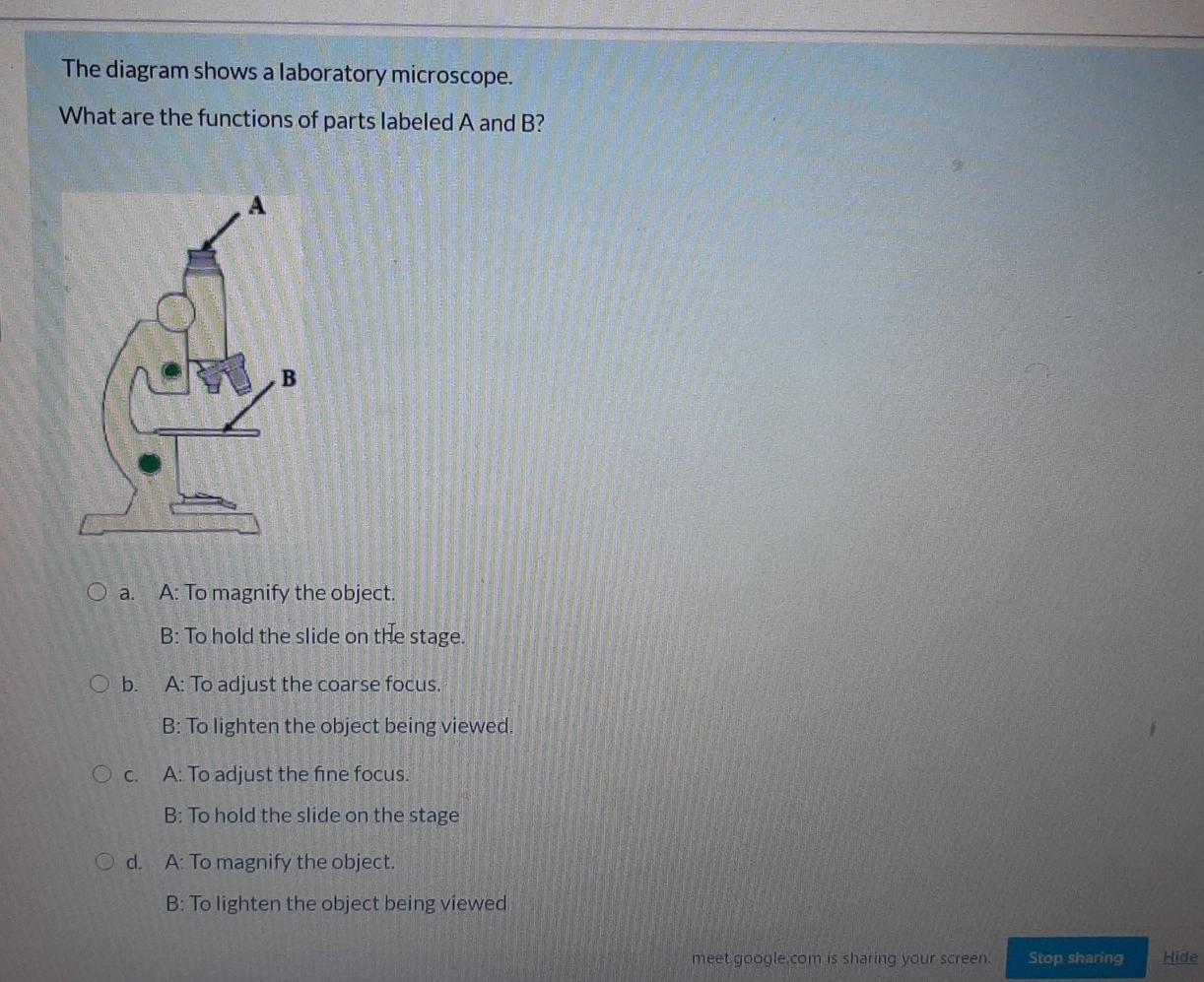 Solved Which of the following structures helps Protists to | Chegg.com