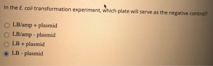 In the E. coli transformation experiment, which plate | Chegg.com