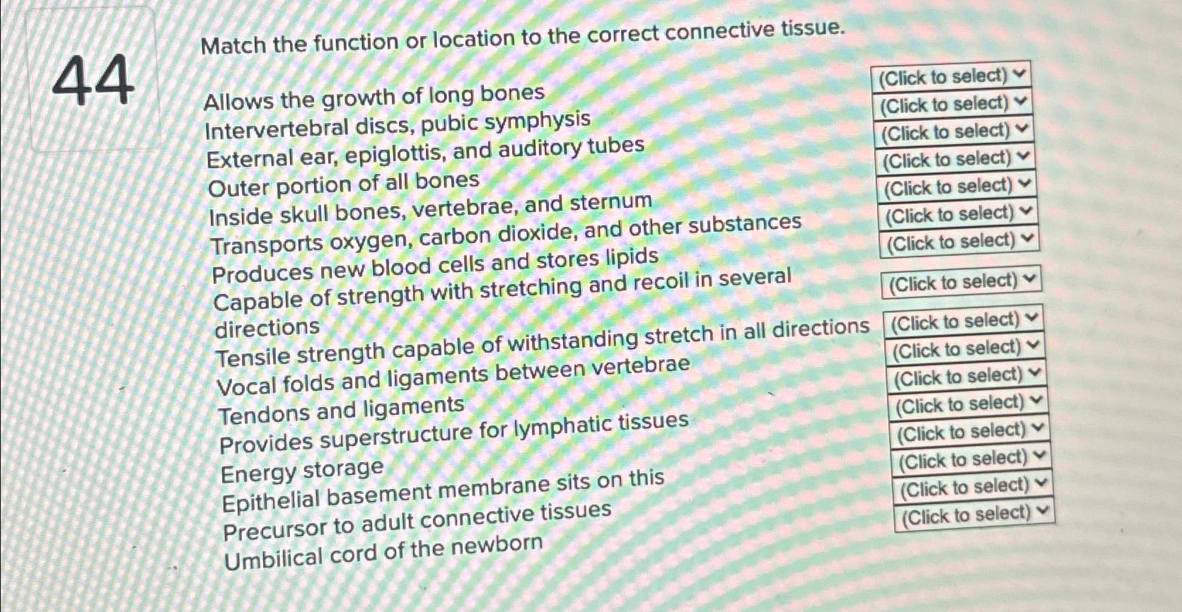 Solved 44Match the function or location to the correct | Chegg.com