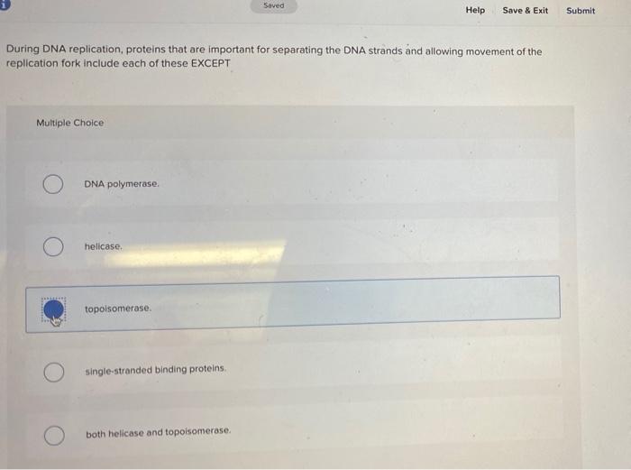 Solved Saved Help Save & Exit Submit During DNA replication, | Chegg.com
