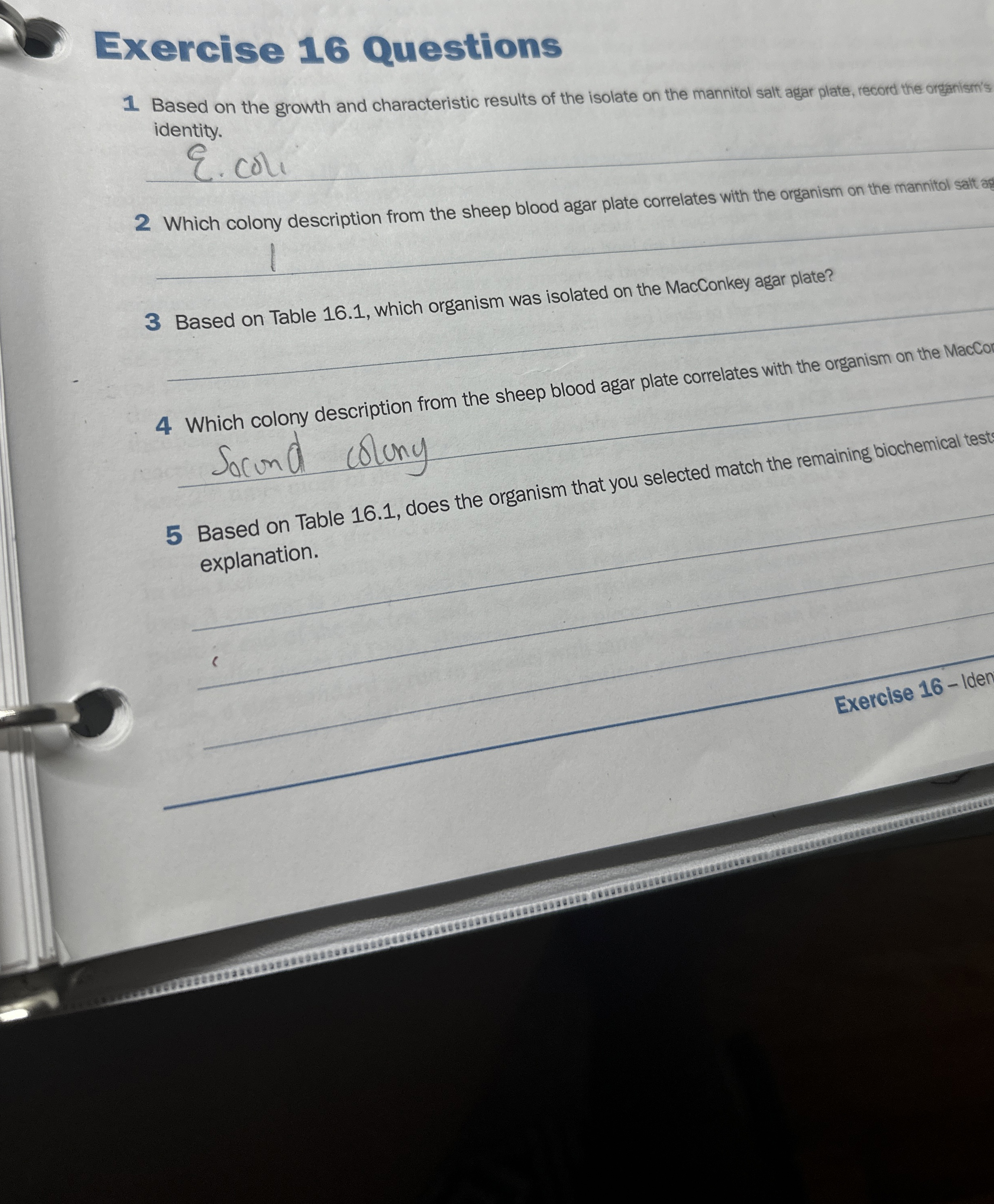 Solved Exercise 16 ﻿Questions1 ﻿Based on the growth and | Chegg.com