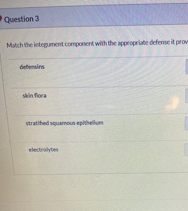 Solved match the integument component with the appropiate | Chegg.com