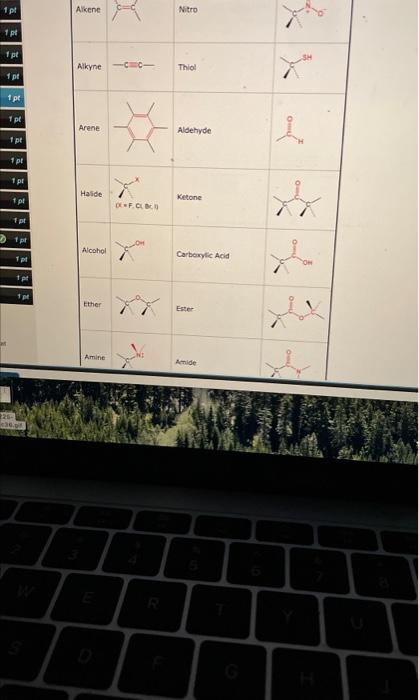 Solved Identify the different functional groups in the | Chegg.com