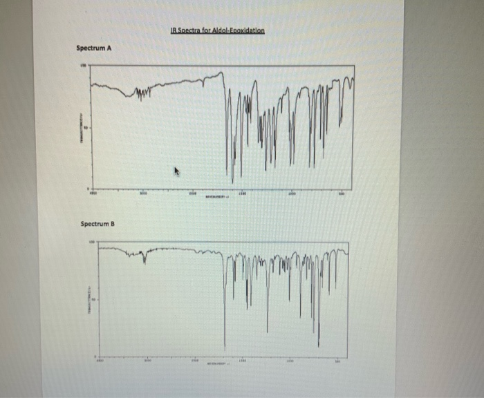 Solved 6. Using the IR spectra posted on Canvas, which IR | Chegg.com