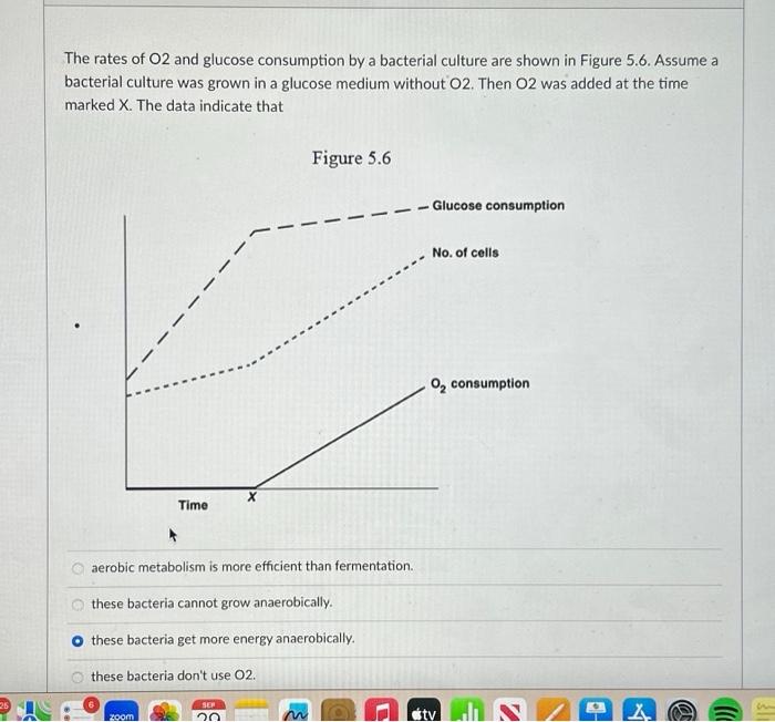 Solved The rates of O2 and glucose consumption by a | Chegg.com