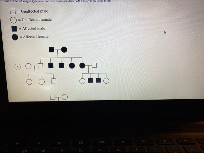 Solved Tay-Sachs disease is a rare inherited disorder caused | Chegg.com