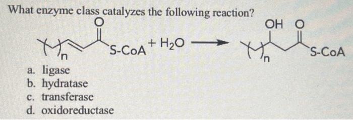 Solved What enzyme class catalyzes the following reaction? | Chegg.com