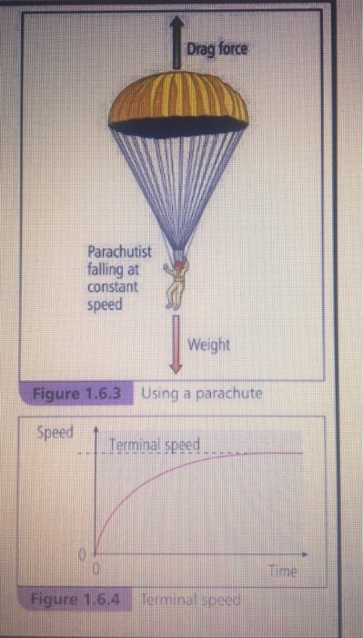 Solved 2 a which feature in the graph in Figure 1.6.4 | Chegg.com