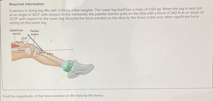 Solved Required information A person is doing leg lifts with | Chegg.com