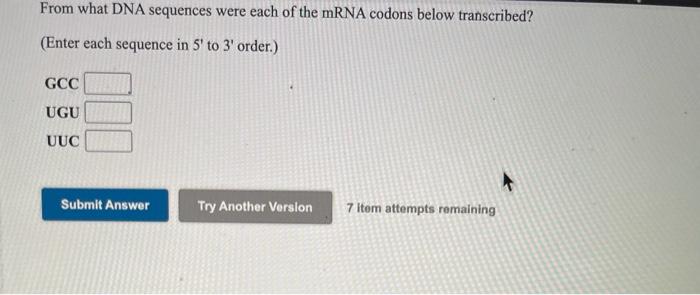 Solved From what DNA sequences were each of the mRNA codons | Chegg.com