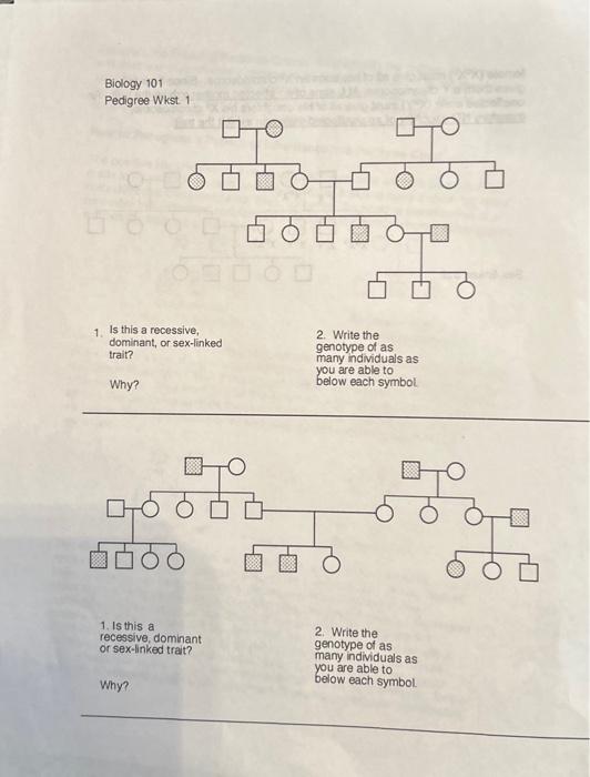 Solved Pedigrees In order to study patterns of human | Chegg.com