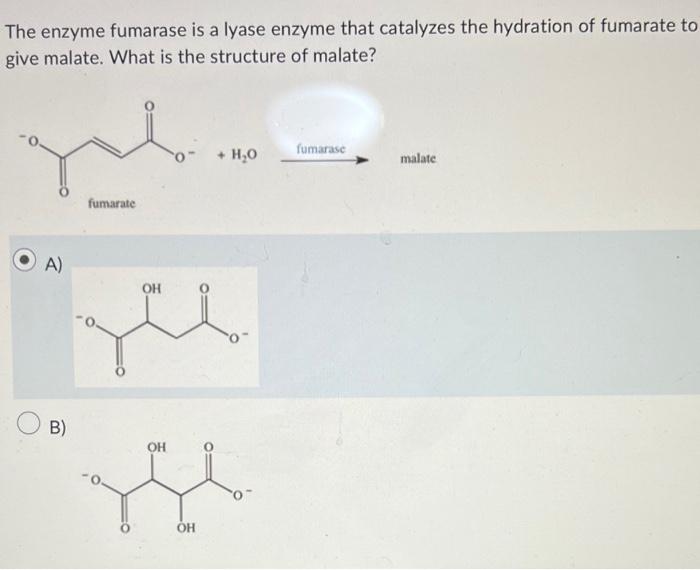 Solved The enzyme fumarase is a lyase enzyme that catalyzes | Chegg.com