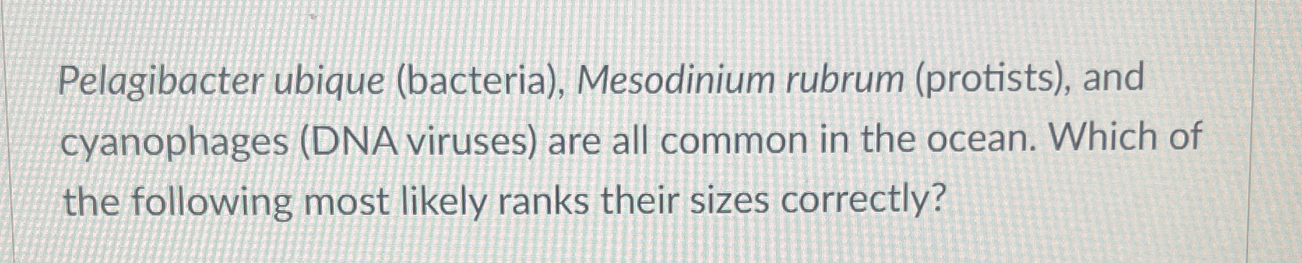 Solved Pelagibacter ubique (bacteria), ﻿Mesodinium rubrum | Chegg.com