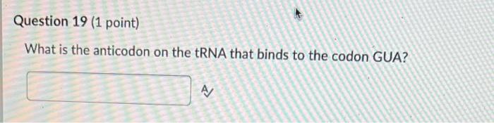 Solved Use the codon table to determine the amino acid | Chegg.com
