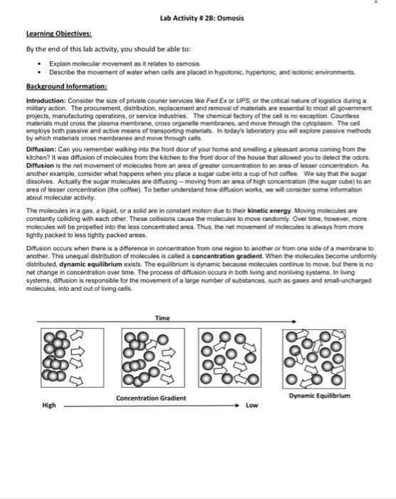 Solved Lab Activity# 2B: Osmosis Learning Objectives: By the | Chegg.com