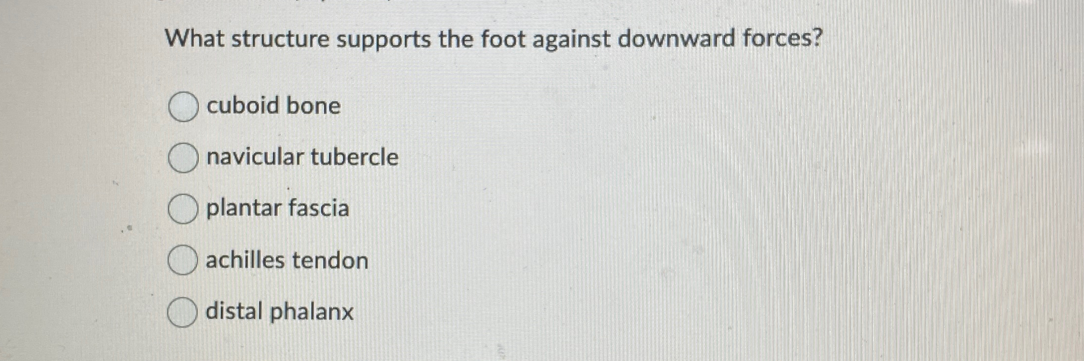 Solved What structure supports the foot against downward | Chegg.com