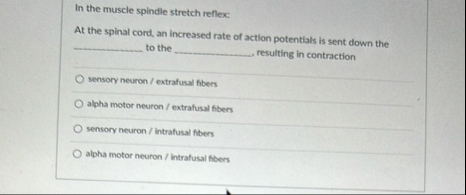 Solved In the muscle spindle stretch reflex:At the spinal | Chegg.com