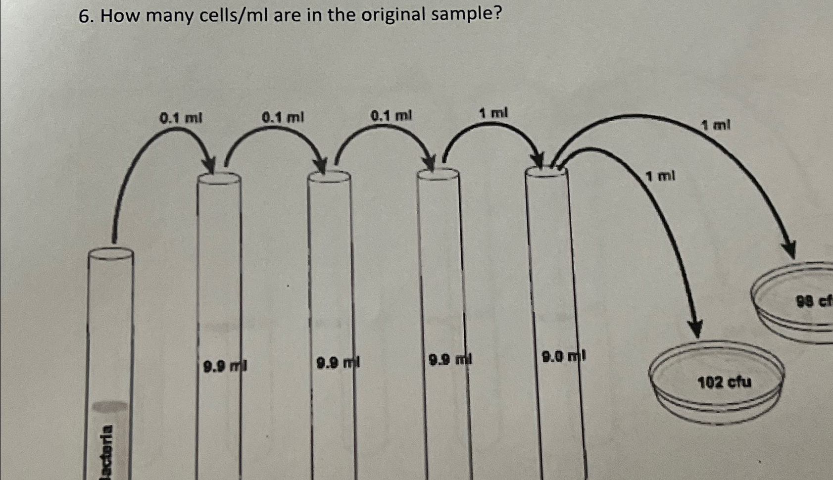 How many cells/ml are in the original sample? | Chegg.com