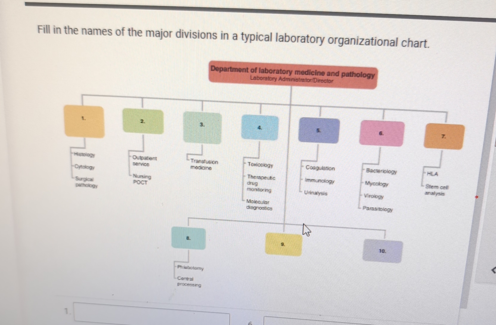 Solved Fill in the names of the major divisions in a typical | Chegg.com