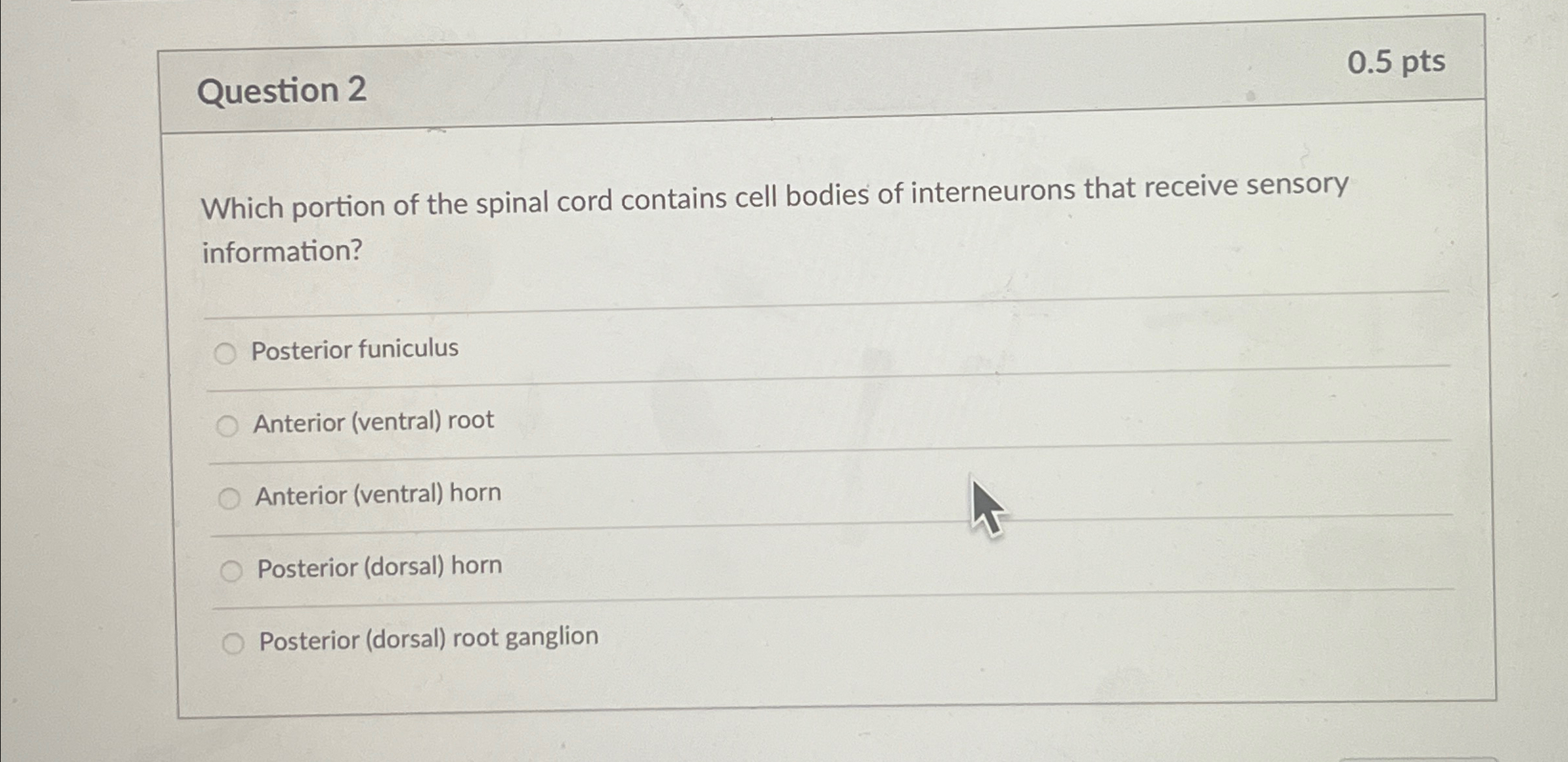 Solved Question 20.5ptsWhich portion of the spinal cord | Chegg.com