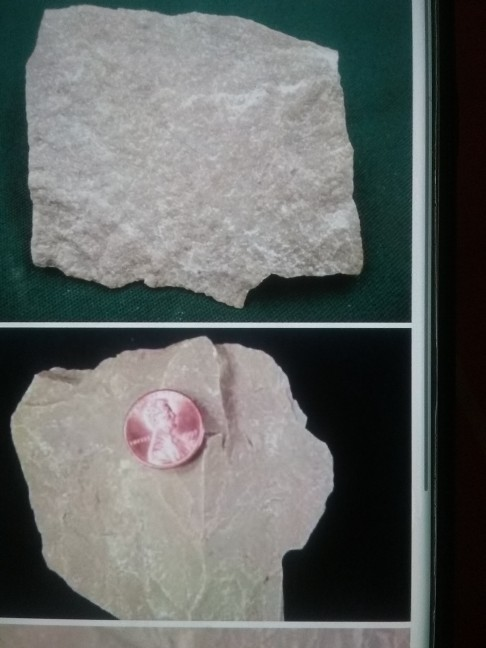 Solved Lab 3 Sedimentary rocks Sample Composition of Rock | Chegg.com