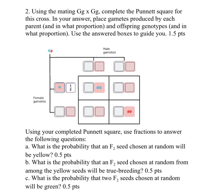 Solved 2. Using the mating Gg x Gg, complete the Punnett | Chegg.com