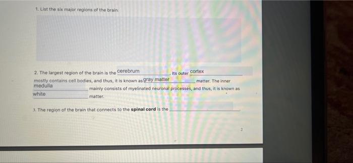 Solved 1 List The Six Major Regions Of The Brain 2 The Chegg