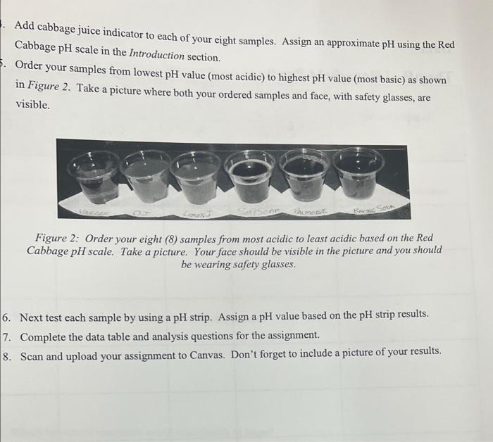 Solved Lab Kit Activity: Acid-Base Indicators Introduction | Chegg.com