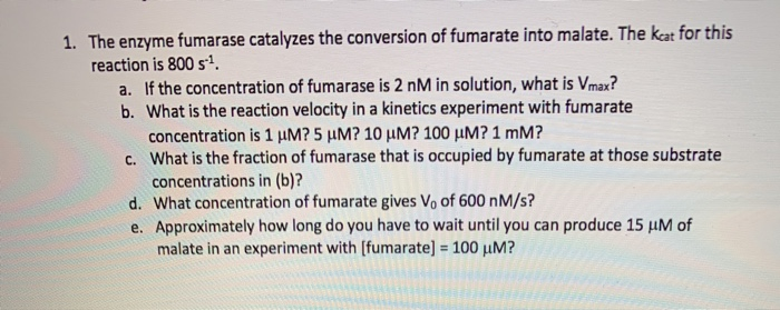 Solved 1. The enzyme fumarase catalyzes the conversion of | Chegg.com