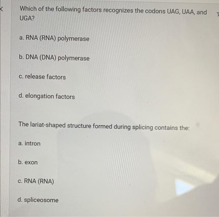 Solved Which of the following factors recognizes the codons | Chegg.com