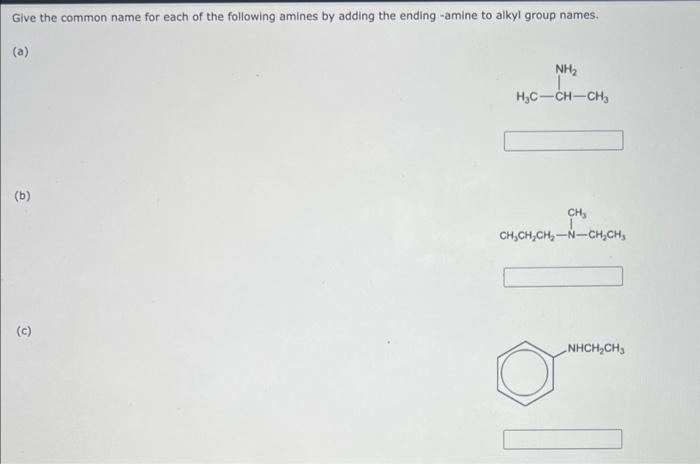 Solved Give the common name for each of the following amines | Chegg.com
