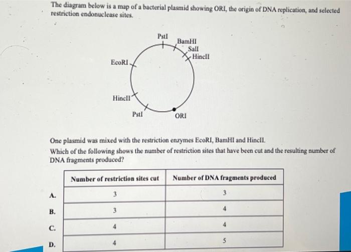 Solved The diagram below is a map of a bacterial plasmid | Chegg.com